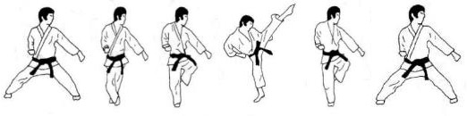 [ Yoko Geri ] :: -Le Karate-