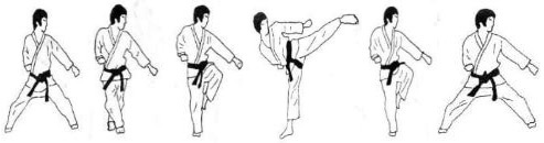 [ Yoko Geri ] :: -Le Karate-